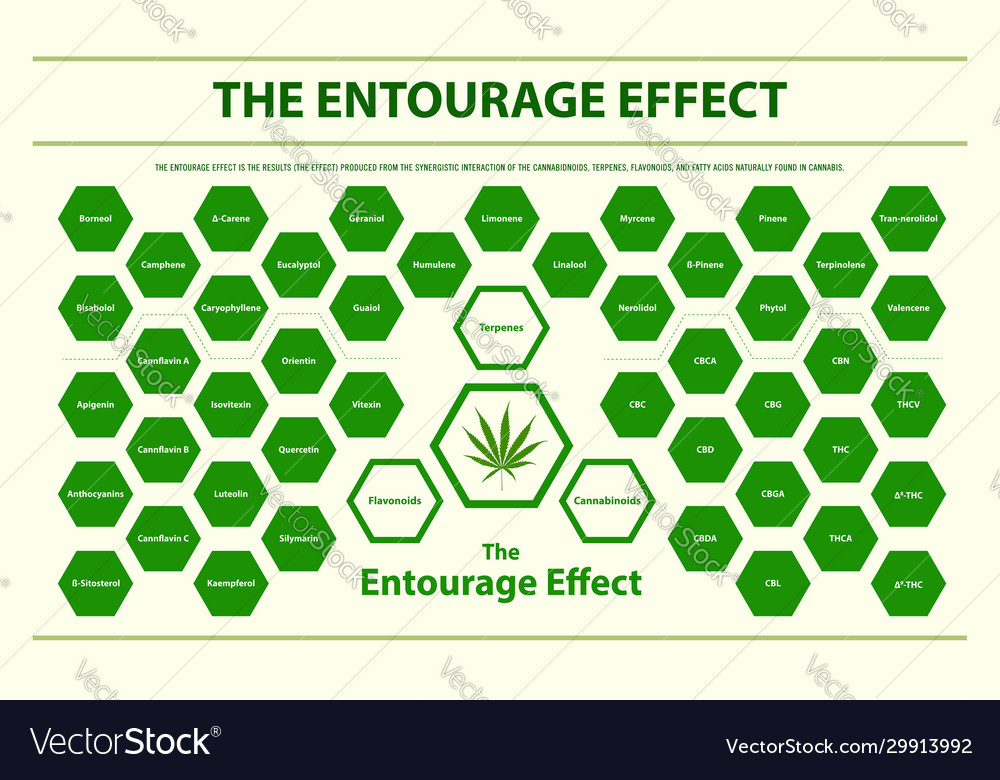 Entourage effect overview horizontal Royalty Free Vector