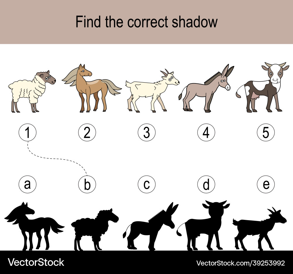 Find the correct shadow puzzle with different Vector Image