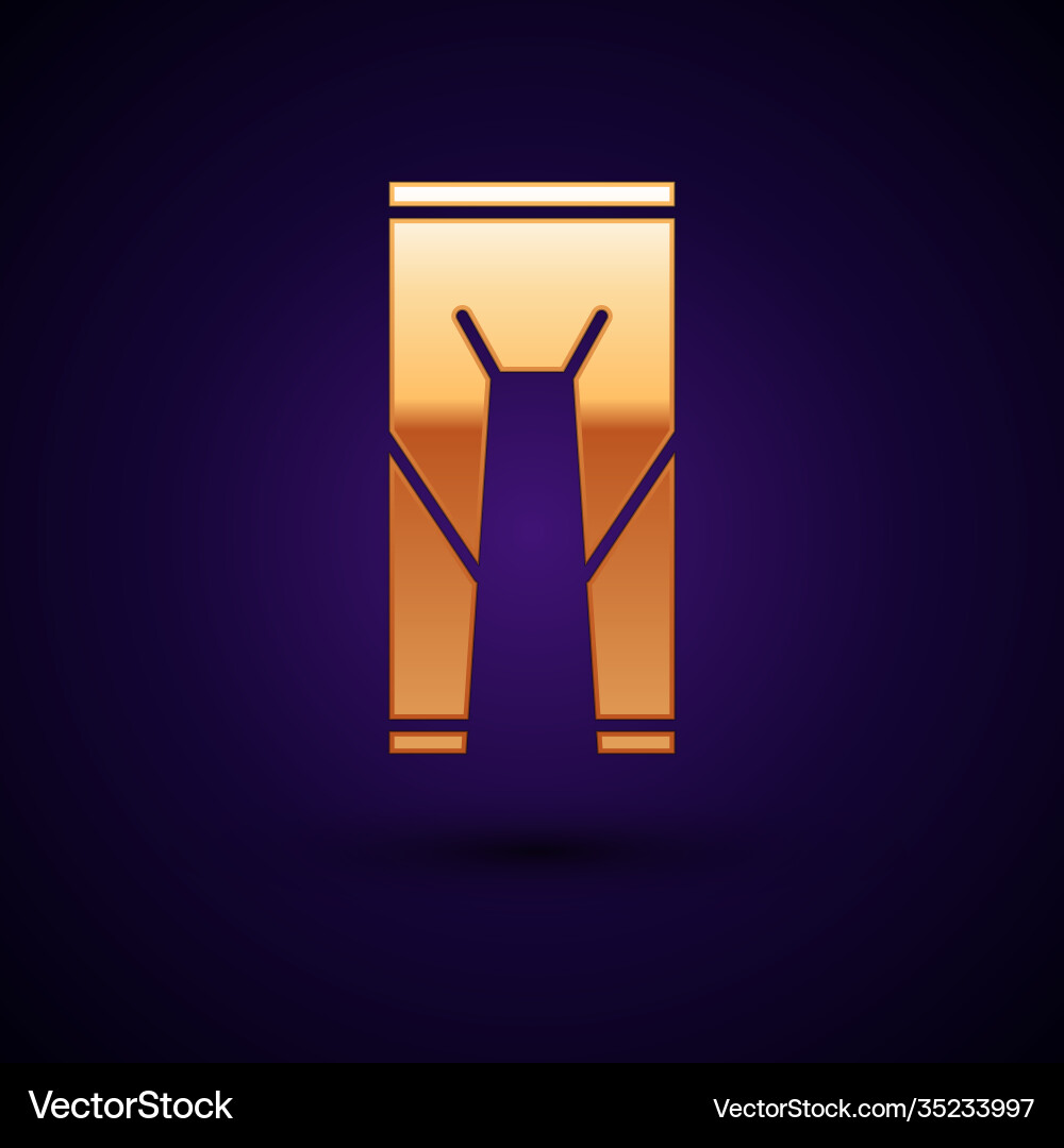 Gold wetsuit for scuba diving icon isolated Vector Image