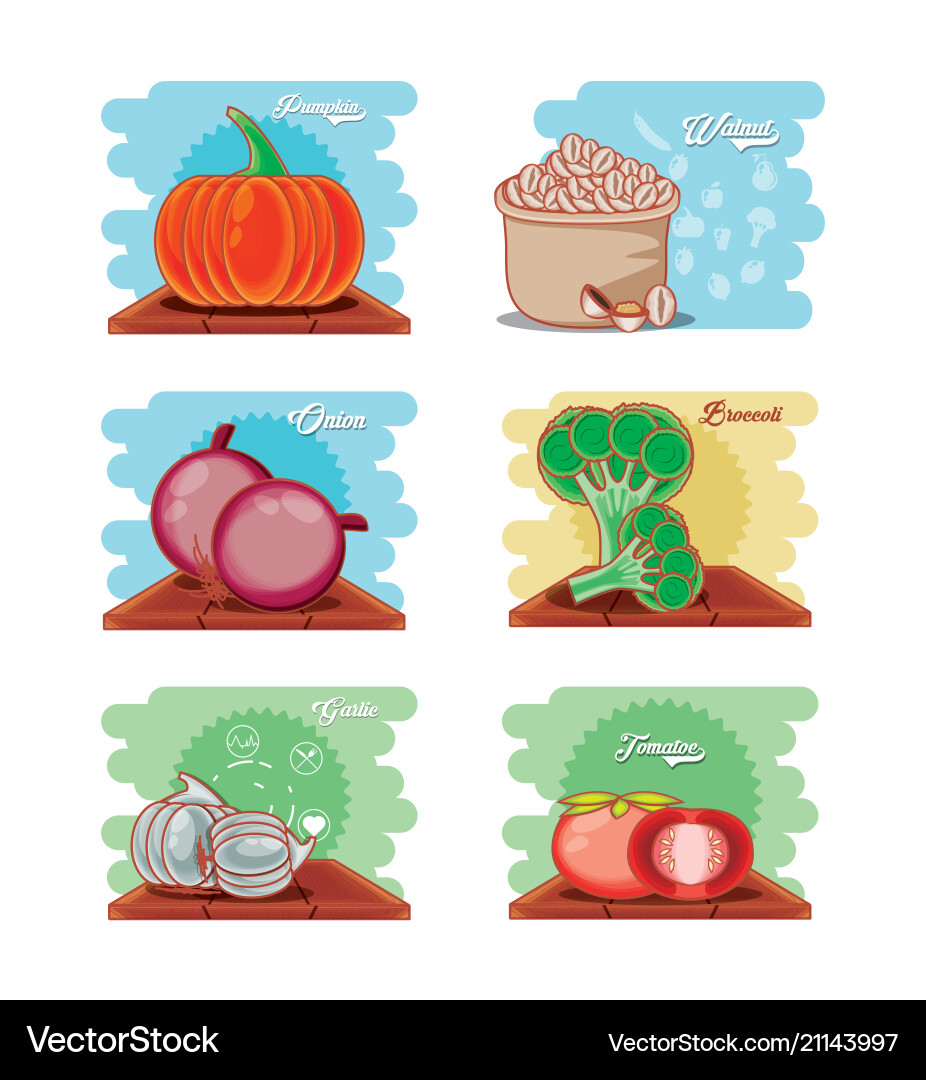 Set vegetables healthy food Royalty Free Vector Image