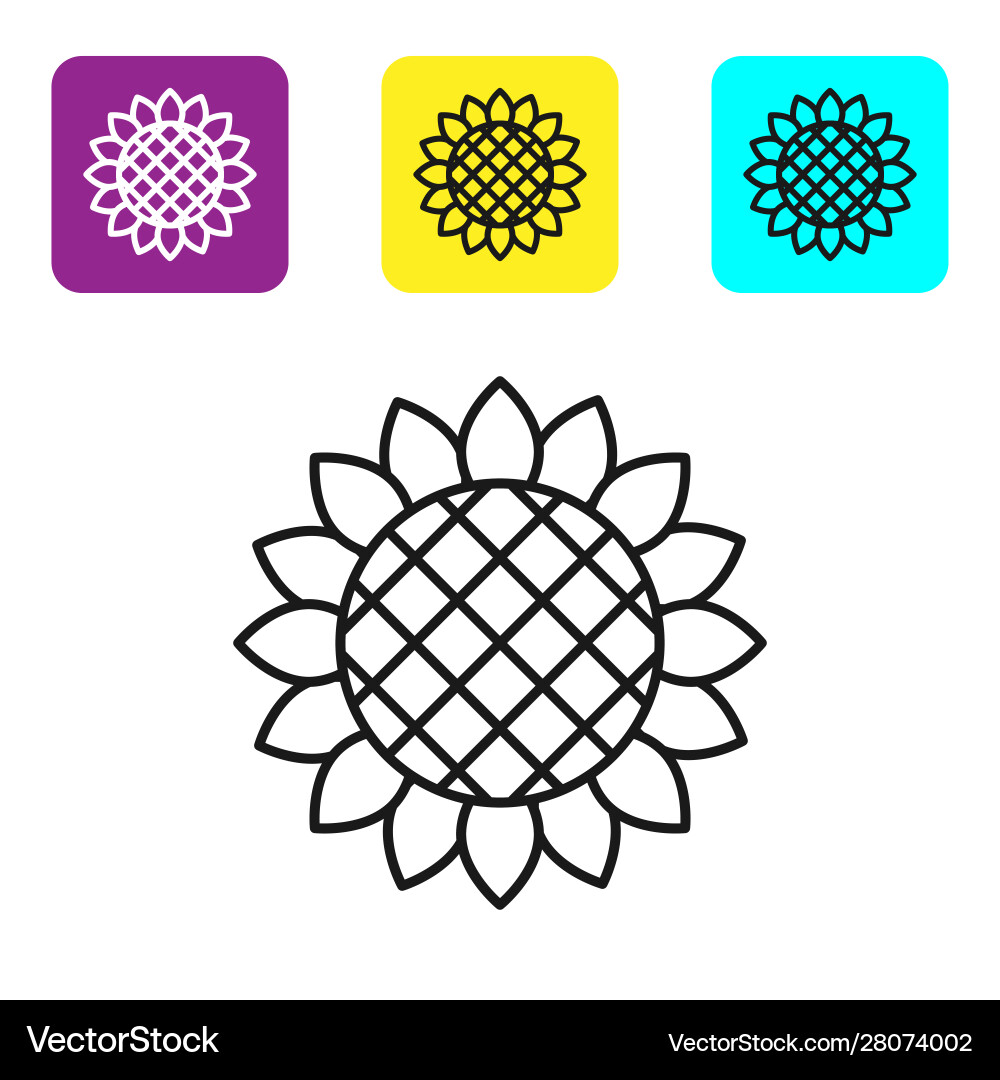 Black line sunflower icon isolated on white Vector Image