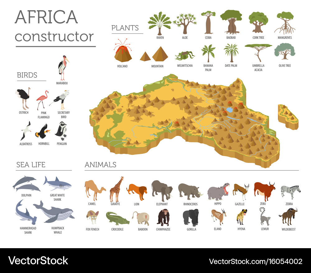 Flat 3d isometric africa flora and fauna map Vector Image