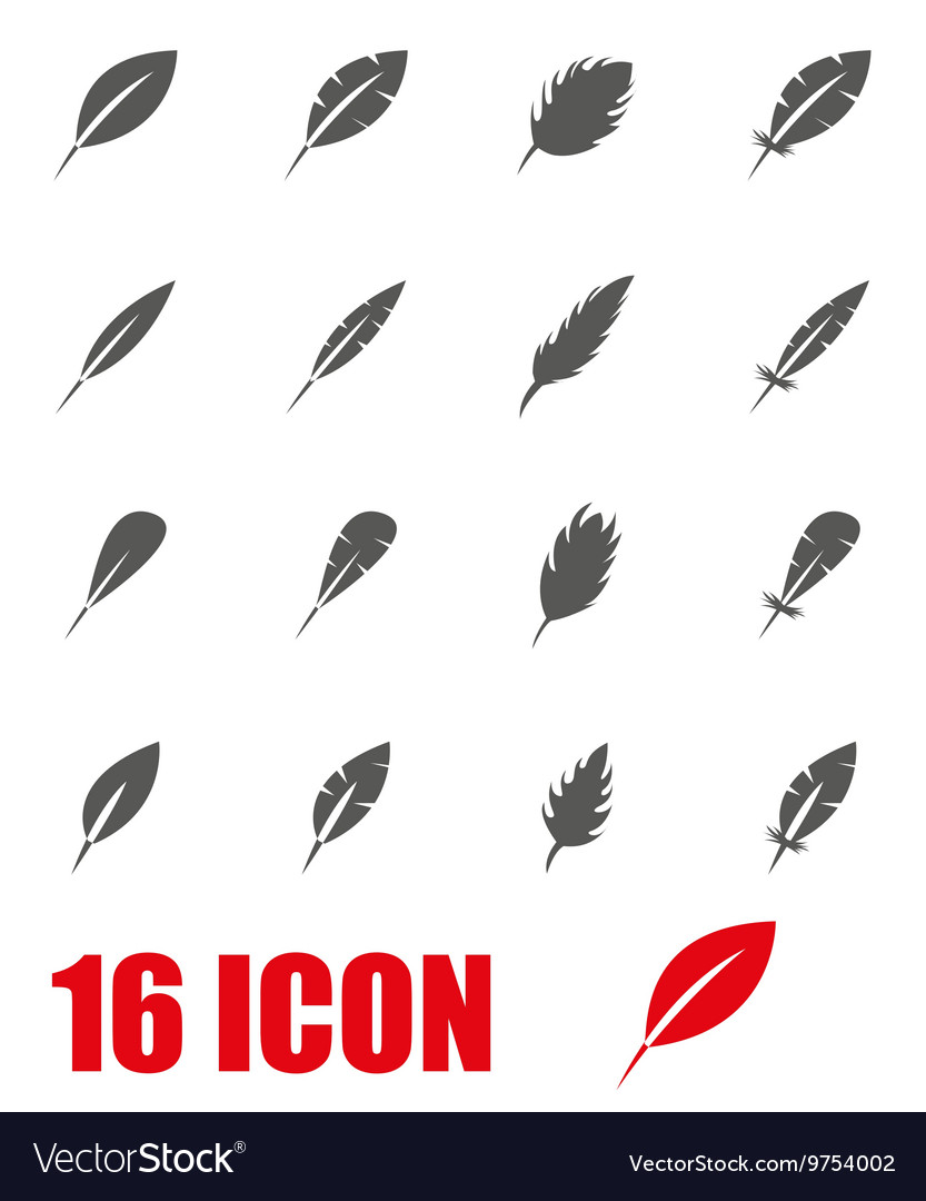 Grey feather icon set Royalty Free Vector Image