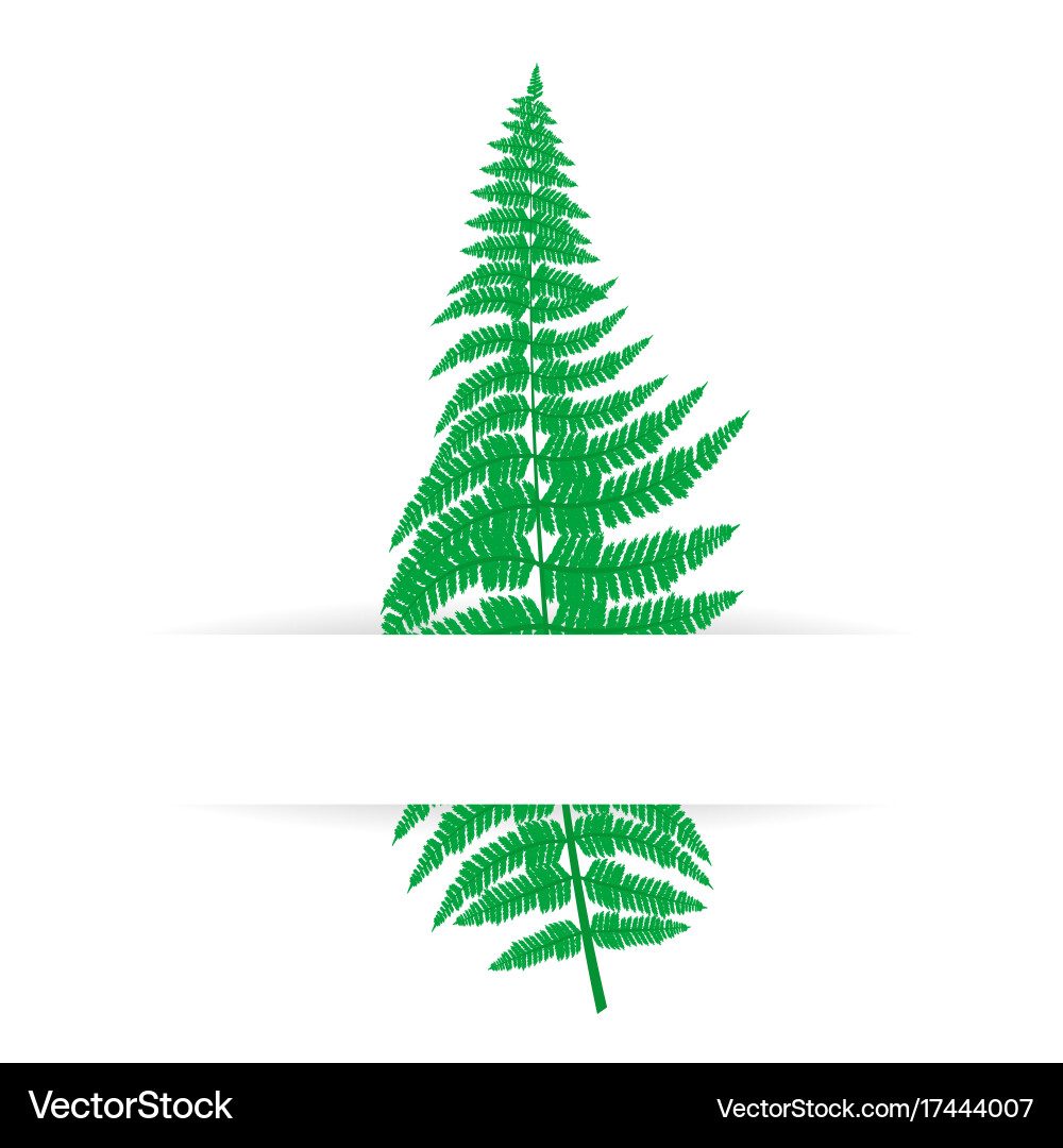 Card with green fern Royalty Free Vector Image