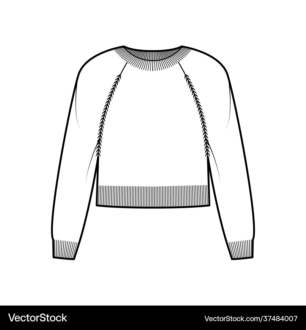 Crew neck sweater cropped technical fashion Vector Image