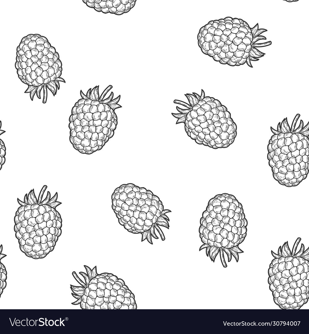 Raspberry isolated berry seamless pattern Vector Image
