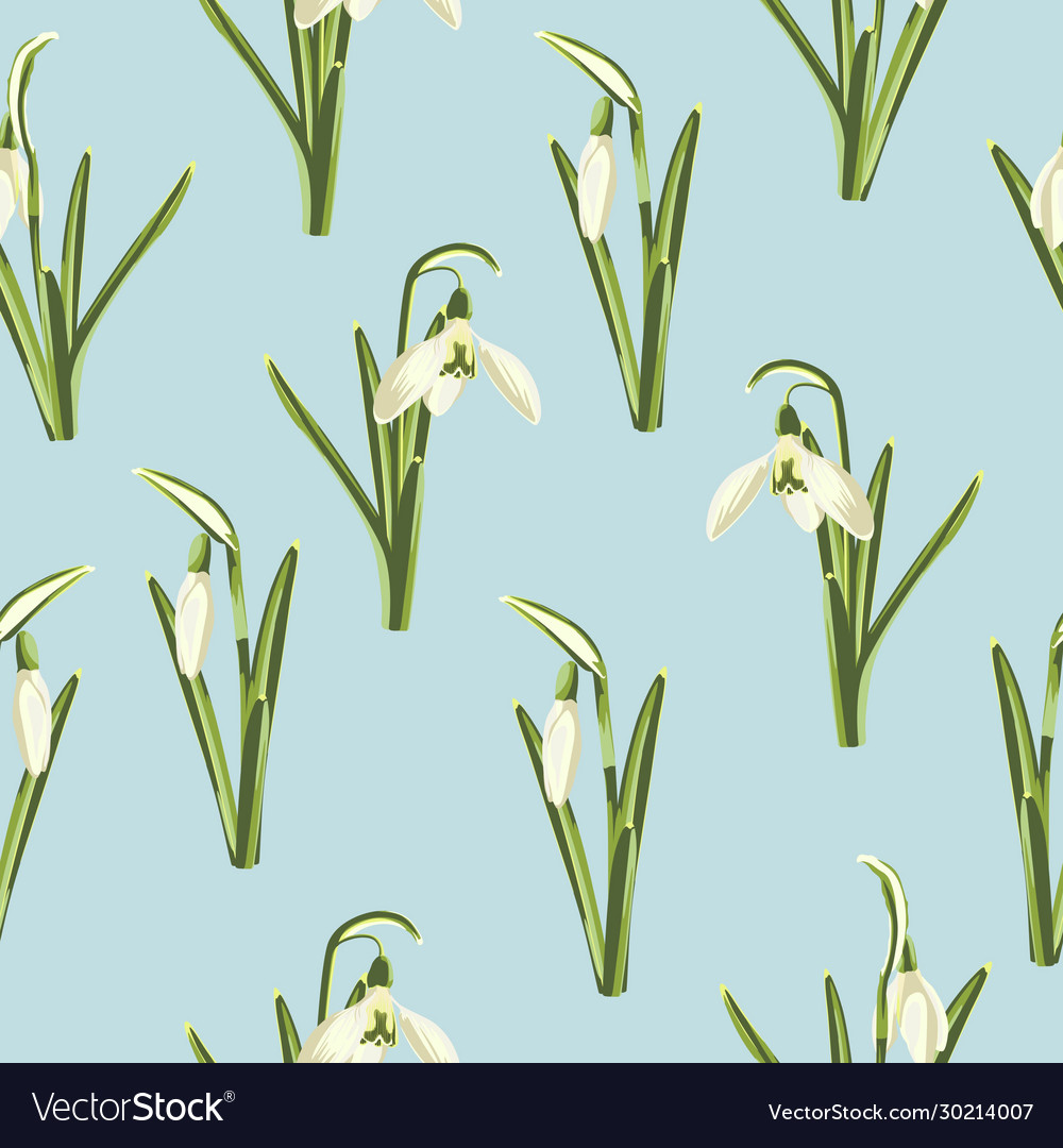 Seamless pattern with white snowdrop flowers Vector Image Seamless pattern with white snowdrop flowers Vector Image