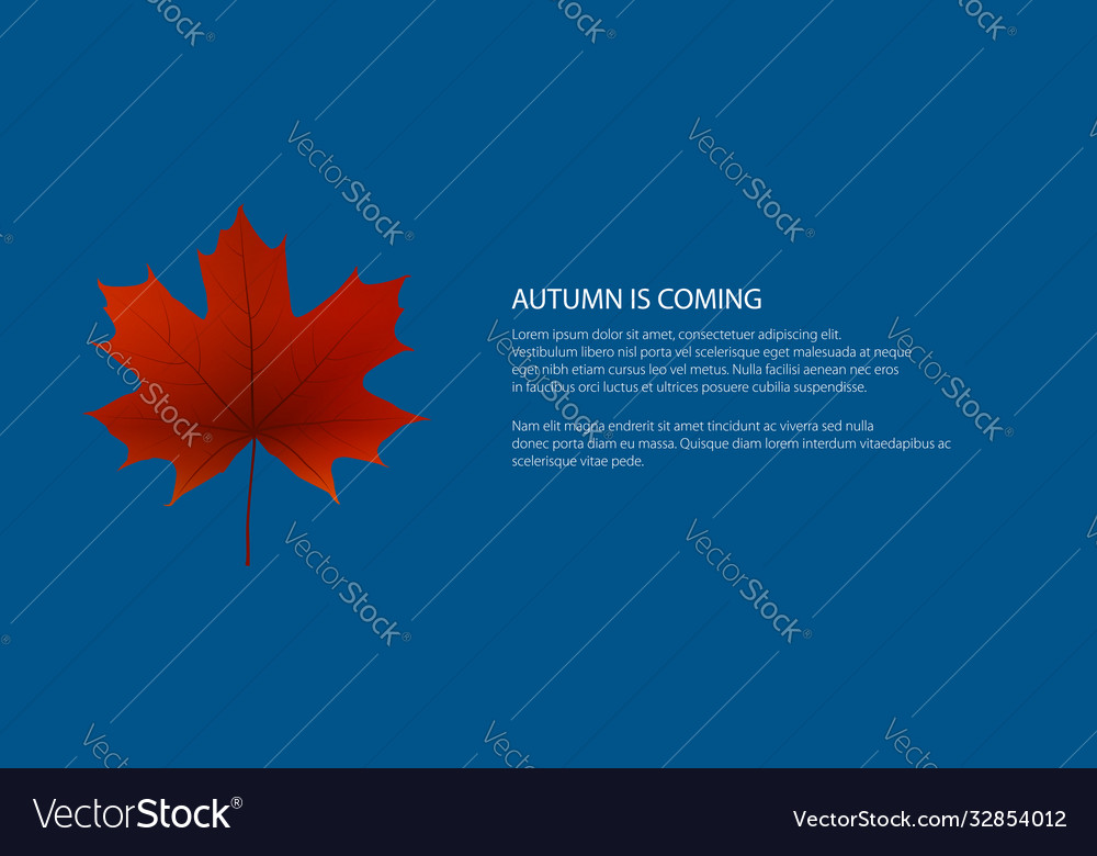 Banner fall red maple leaf Royalty Free Vector Image