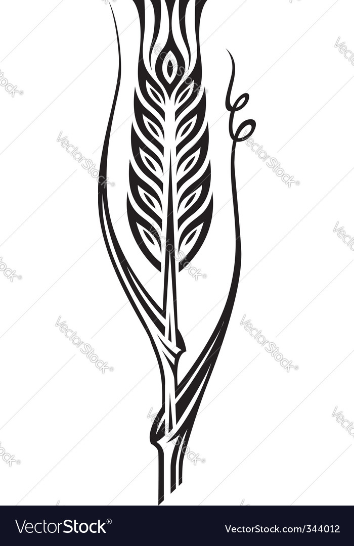 Ear wheat Royalty Free Vector Image - VectorStock