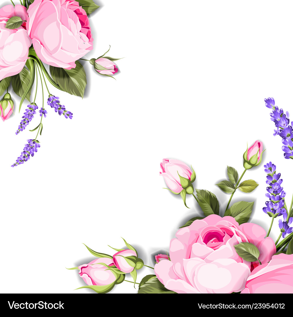 Single rose card gentle vintage with hand Vector Image