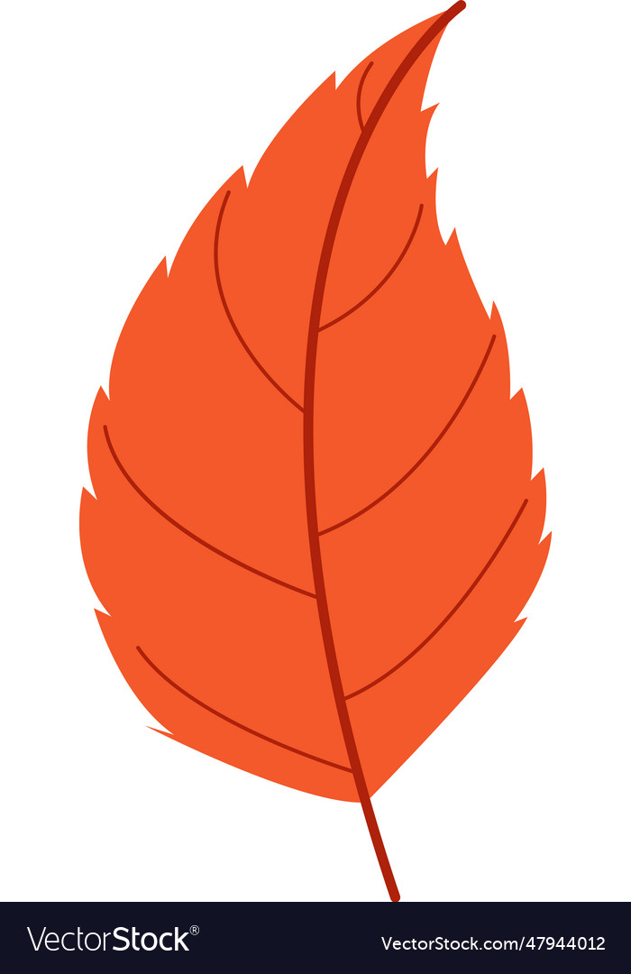 Tree leaf icon Royalty Free Vector Image - VectorStock