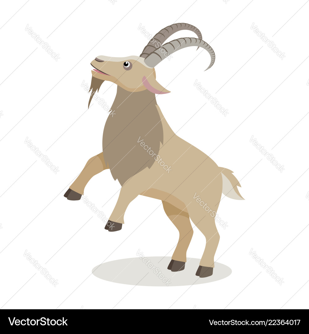Cartoon goat in different poses flat style Vector Image