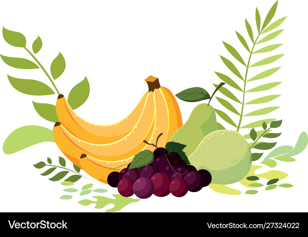 Isolated tropical fruits set design Royalty Free Vector