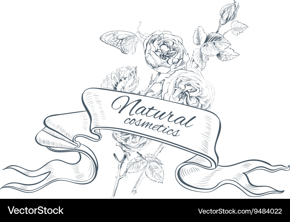 Rose graphic banner Royalty Free Vector Image - VectorStock