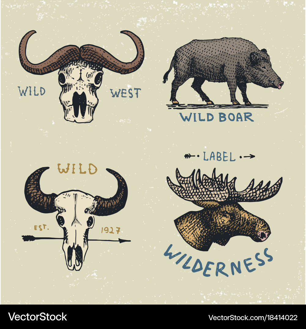 Set engraved vintage hand drawn old labels Vector Image