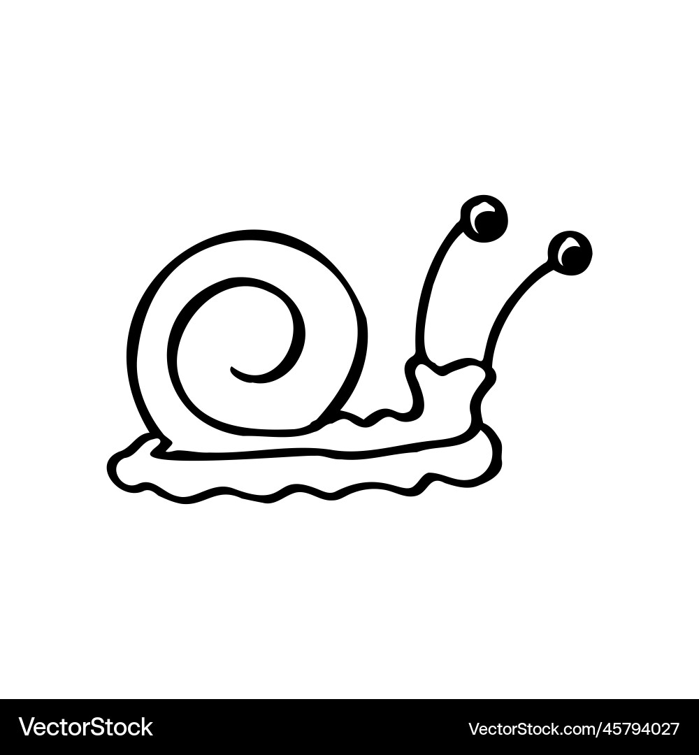 Cute snail line design minimalistic hand drawn Vector Image