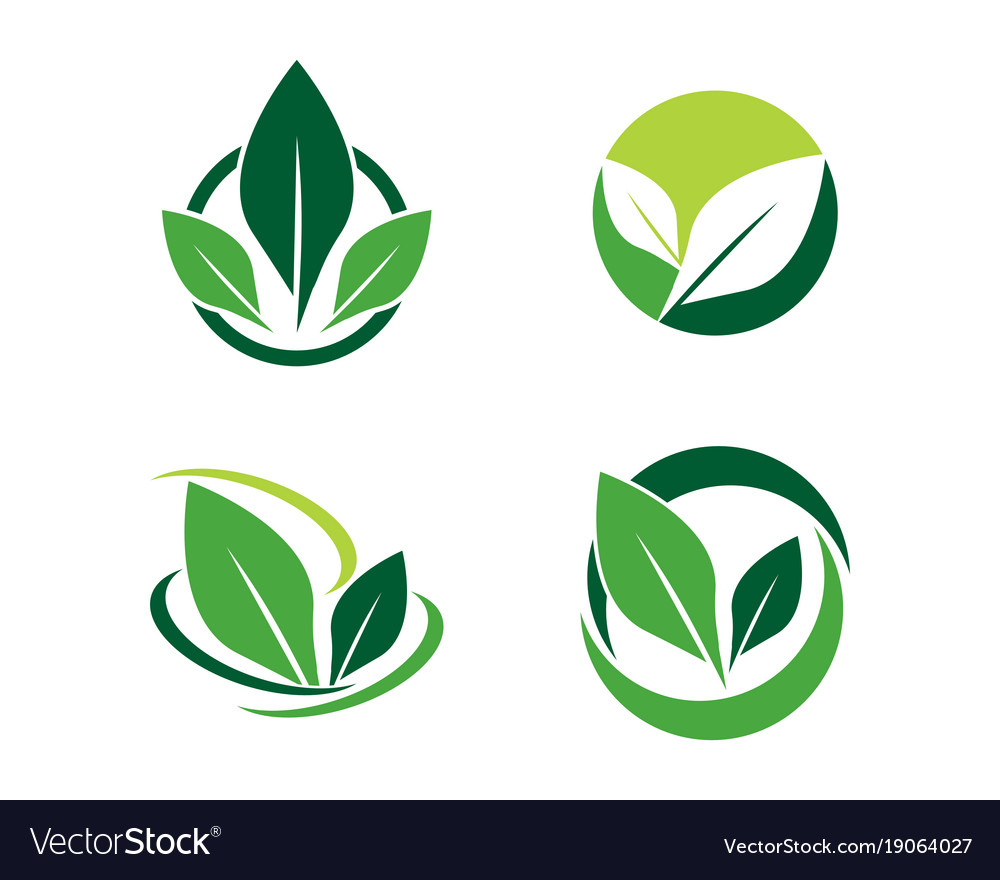 Tree leaf logo template Royalty Free Vector Image