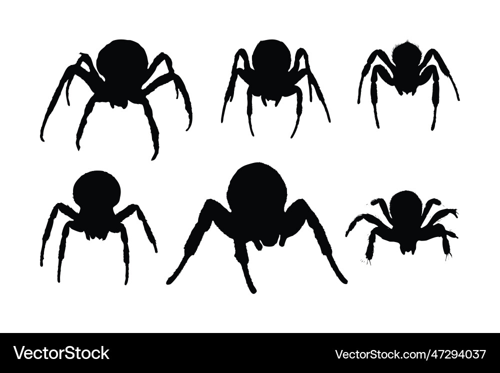 Furry spiders and insects sitting silhouettes Vector Image