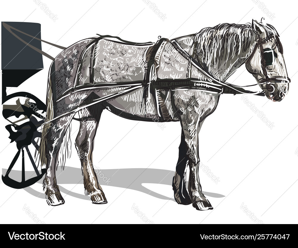 Colorful harness hand drawing horse Royalty Free Vector