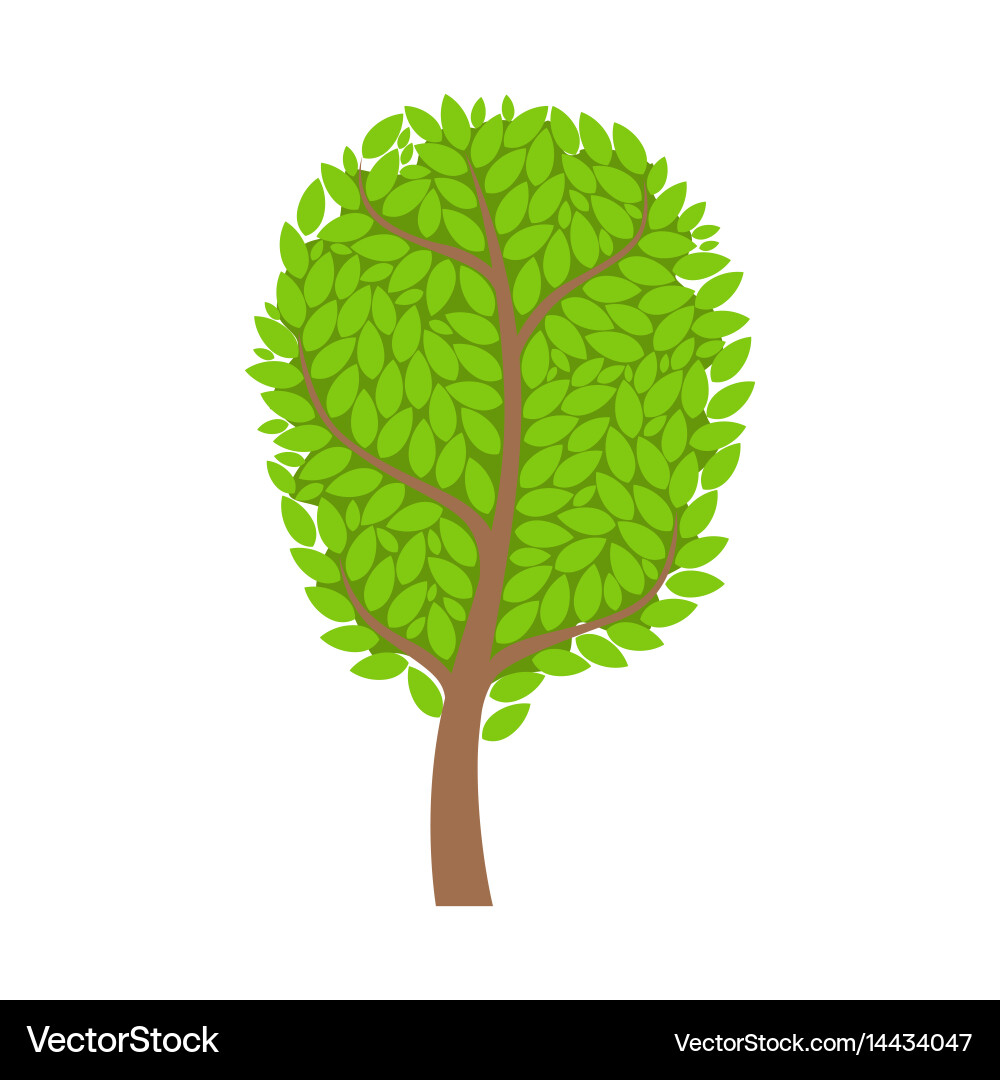 Green summer tree element of a landscape Vector Image