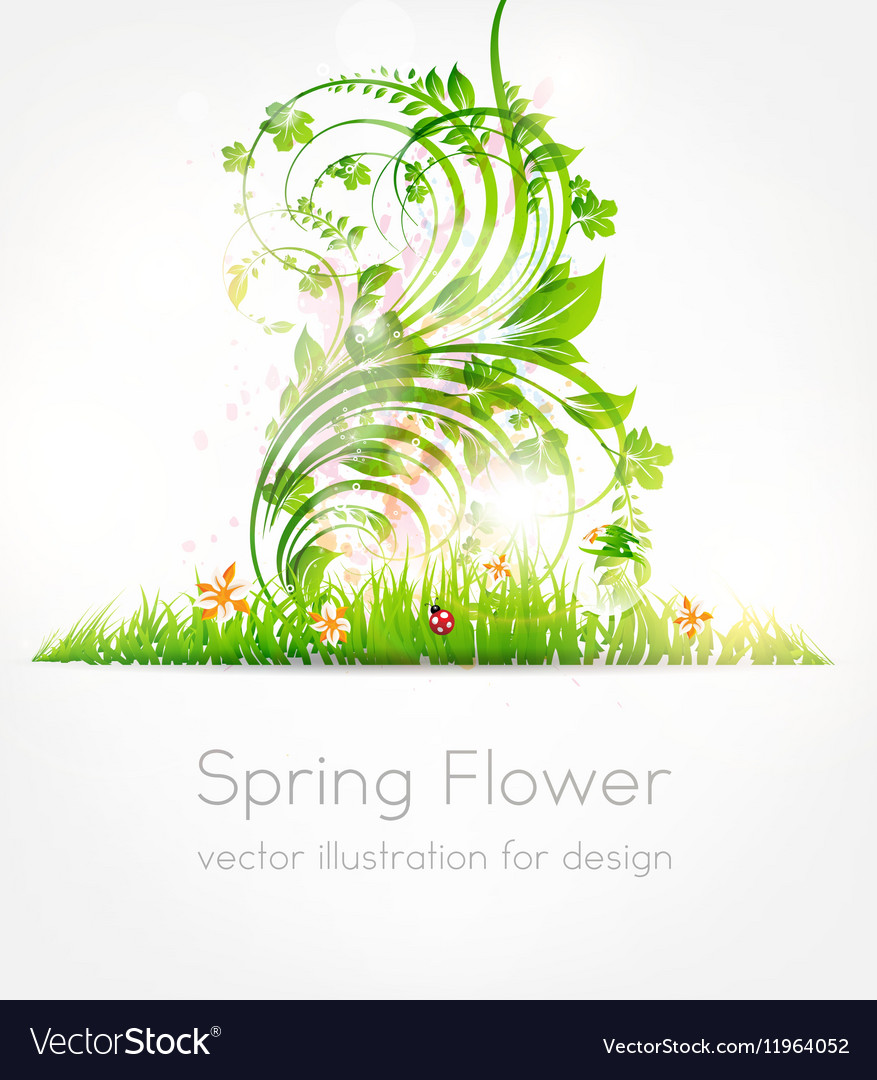 Spring flower background Royalty Free Vector Image