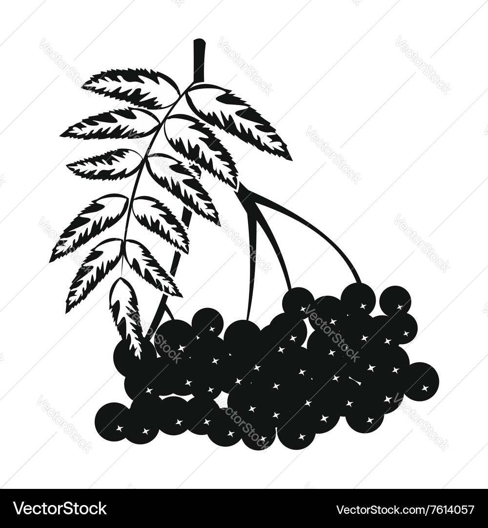 Branch of rowan icon Royalty Free Vector Image