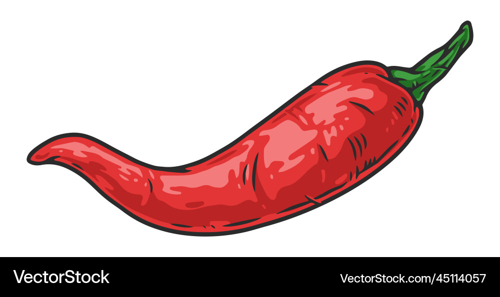 Chili pepper colorful element detailed Royalty Free Vector