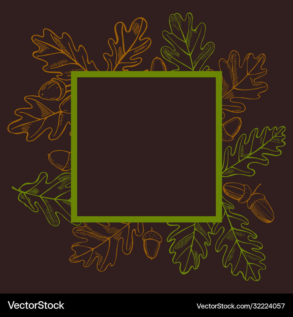 Frame with hand drawn oak leaves and acorns Vector Image