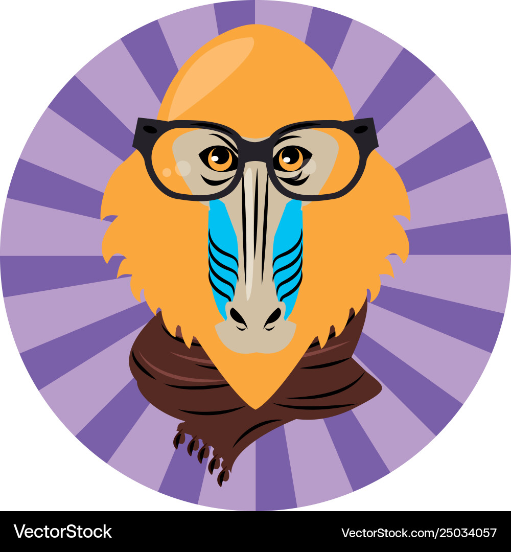 Hipster mandrill cool sketch Royalty Free Vector Image