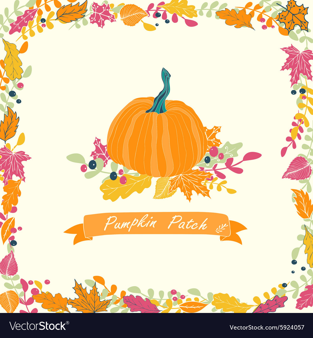 Pumpkin patch card design Royalty Free Vector Image