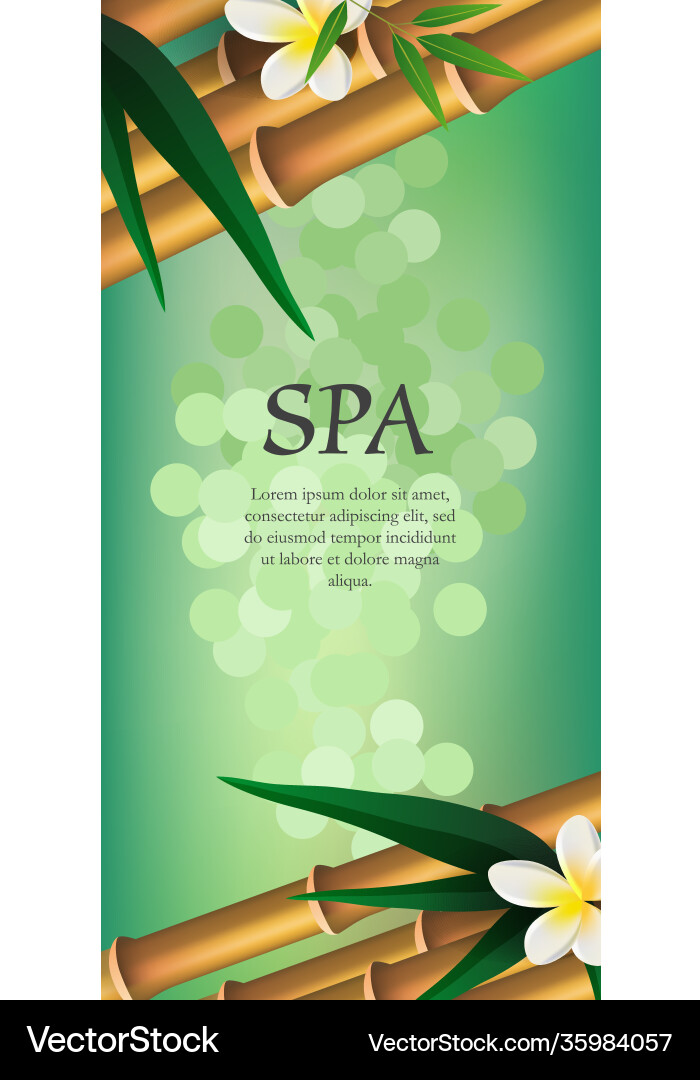 Spa lettering bamboo and flowers Royalty Free Vector Image