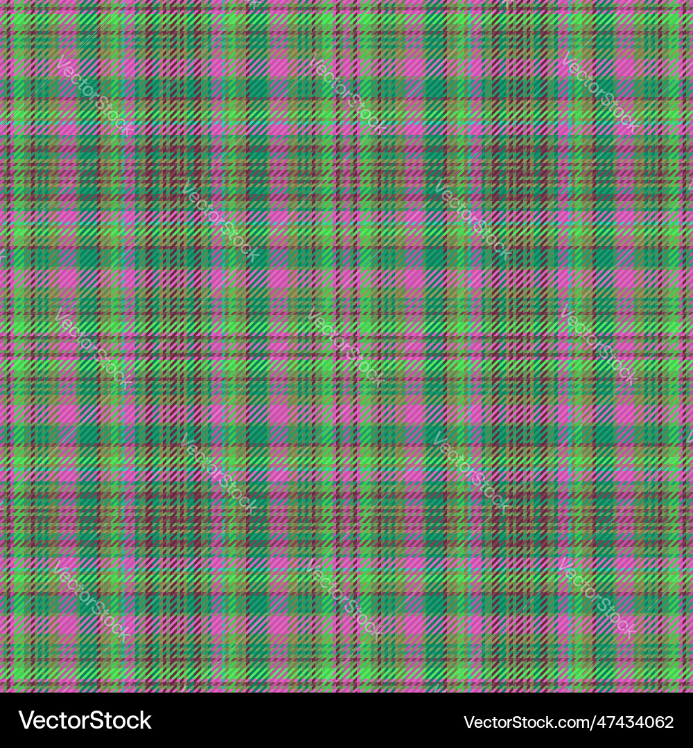 Background check texture of tartan fabric textile Vector Image