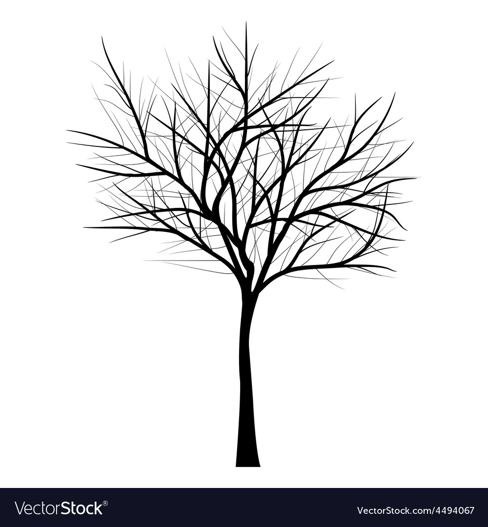 Trees with dead branch Royalty Free Vector Image