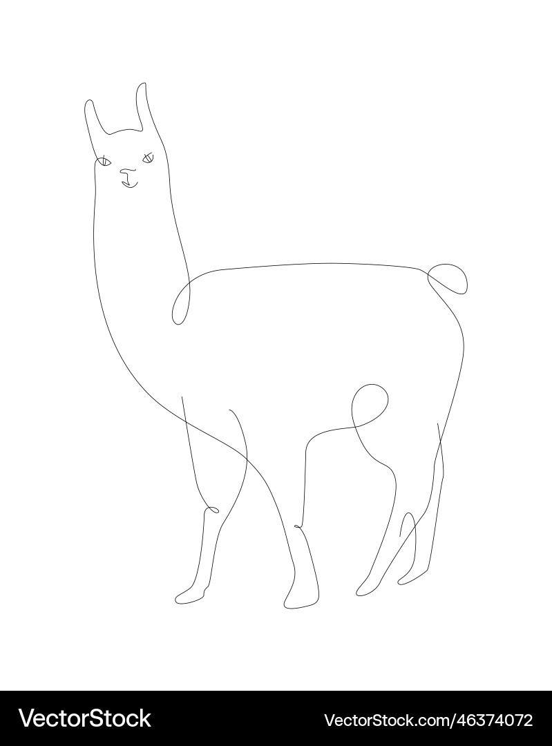 Alpaca one line lama line art Royalty Free Vector Image