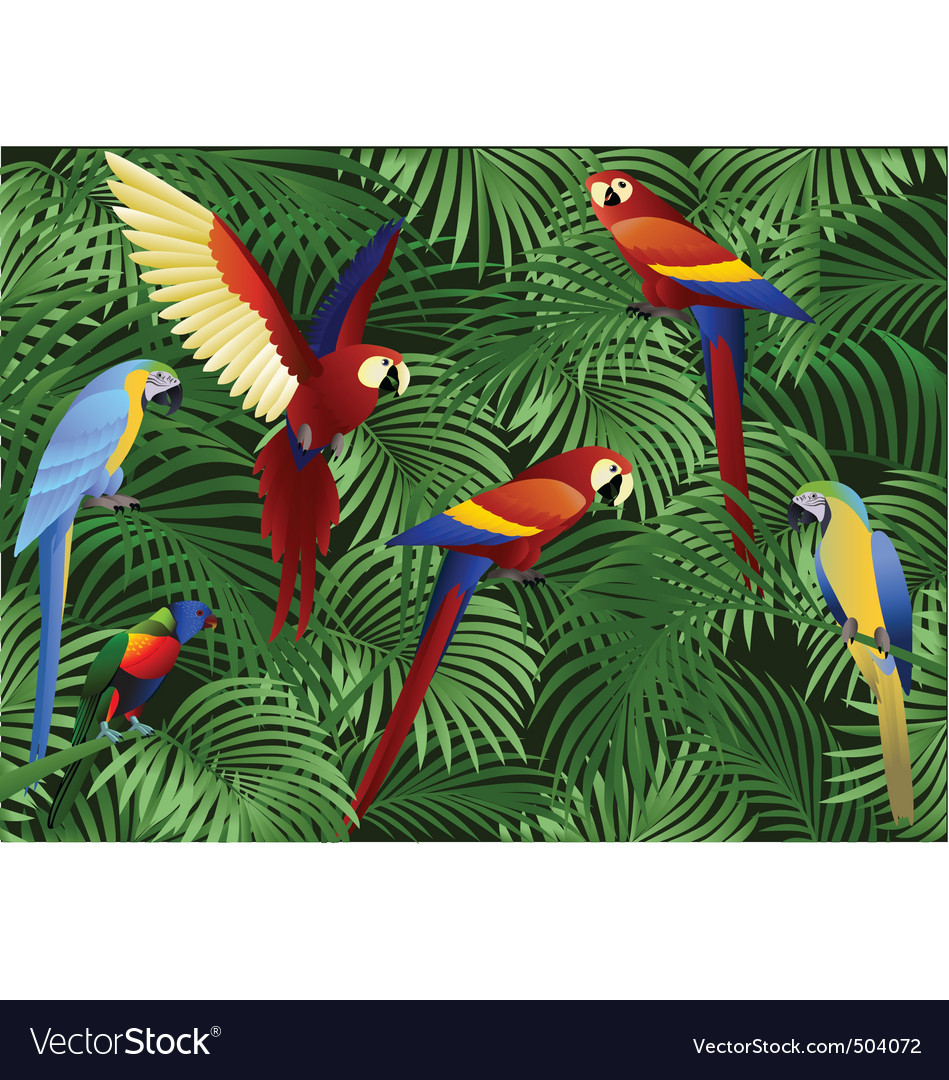 Macaw bird Royalty Free Vector Image - VectorStock