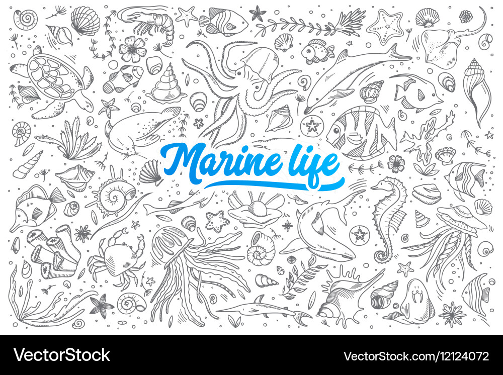 Marine life doodle set with lettering Royalty Free Vector