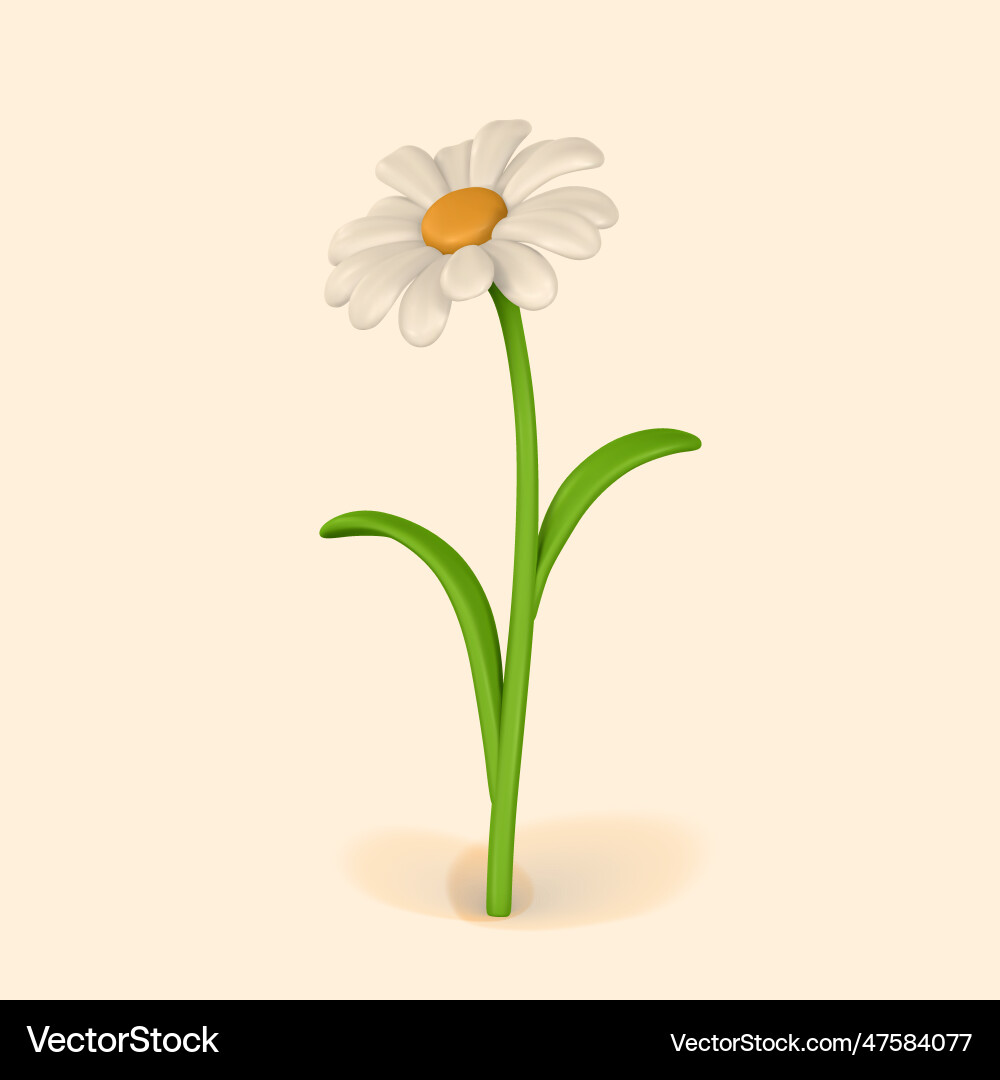 3d cute colorful daisy flower chamomile in Vector Image