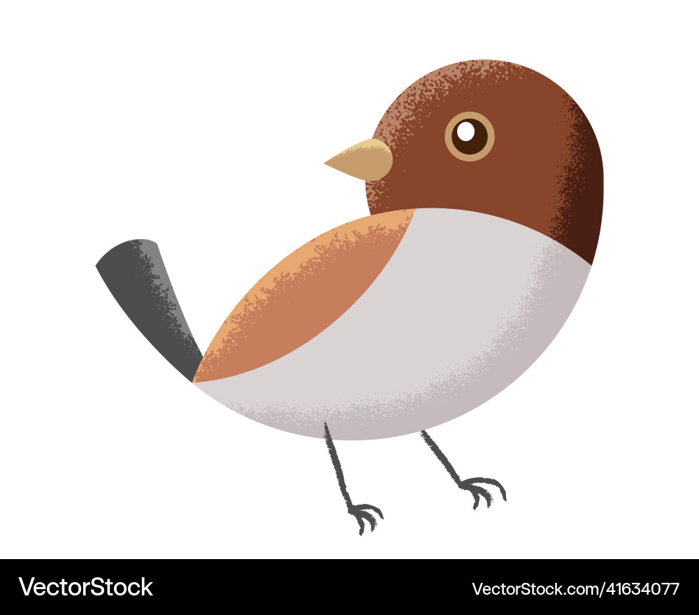 Cute cartoon sparrow isolated on white background Vector Image