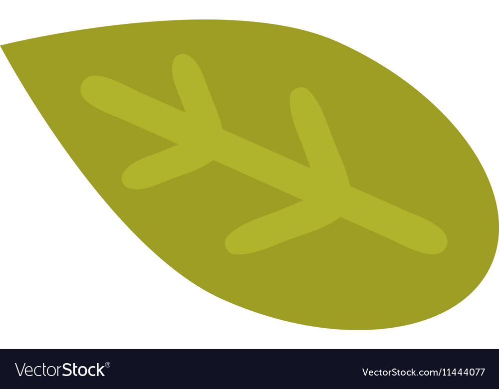 Leaf icon Royalty Free Vector Image - VectorStock