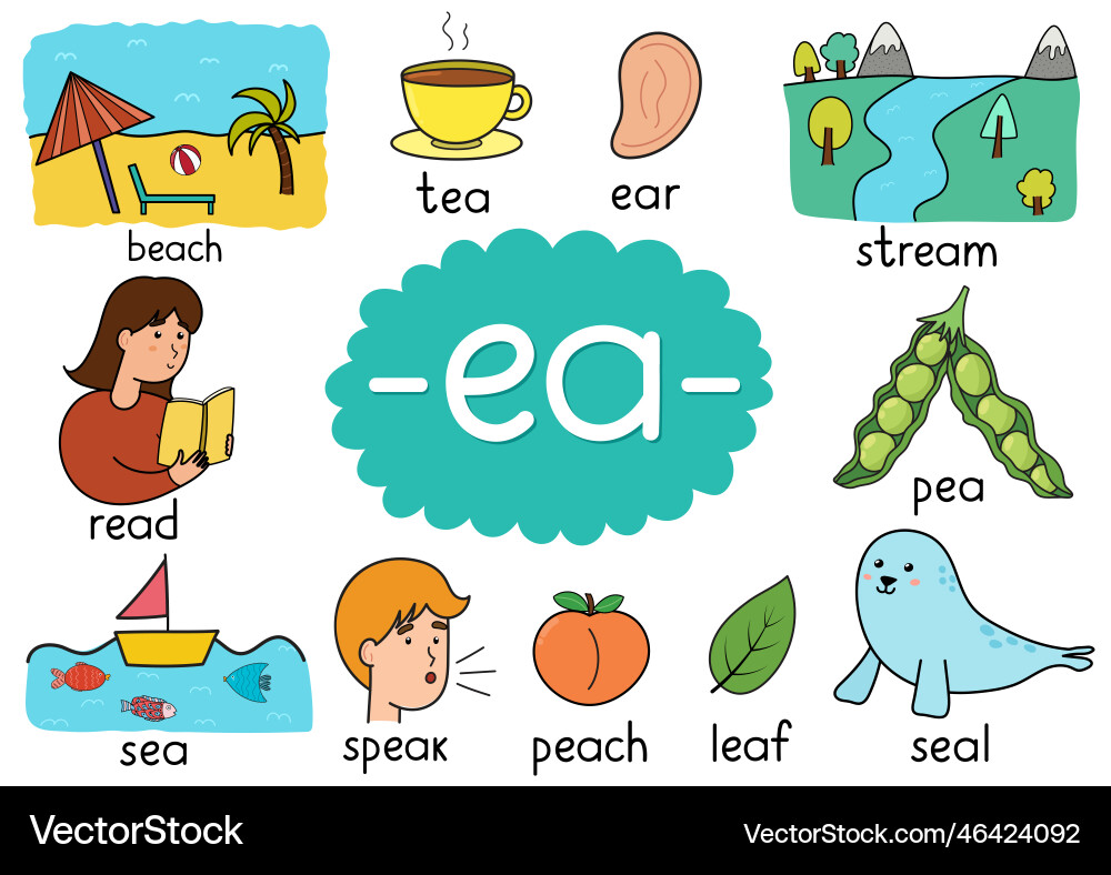 Ea digraph spelling rule educational poster Vector Image