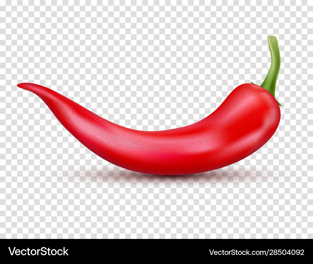 Fresh red hot chili pepper kitchen organic Vector Image