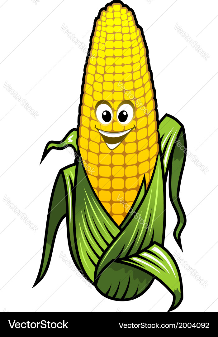 Healthy fresh yellow corn vegetable on the cob Vector Image