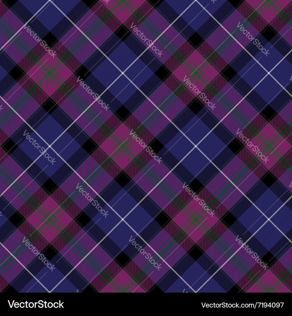 Pride scotland tartan fabric diagonal texture Vector Image
