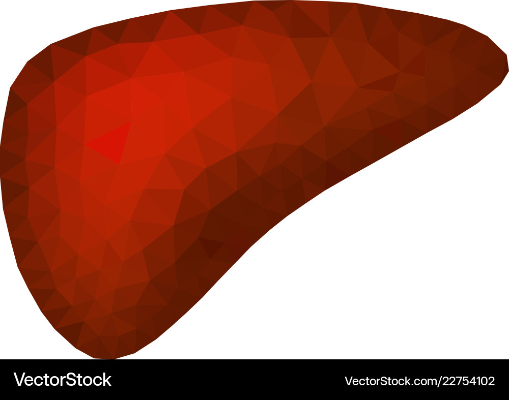 Abstract polygonal image of the liver Royalty Free Vector