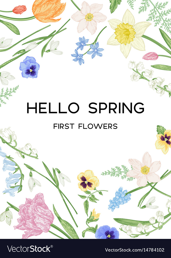 Card with spring flowers Royalty Free Vector Image