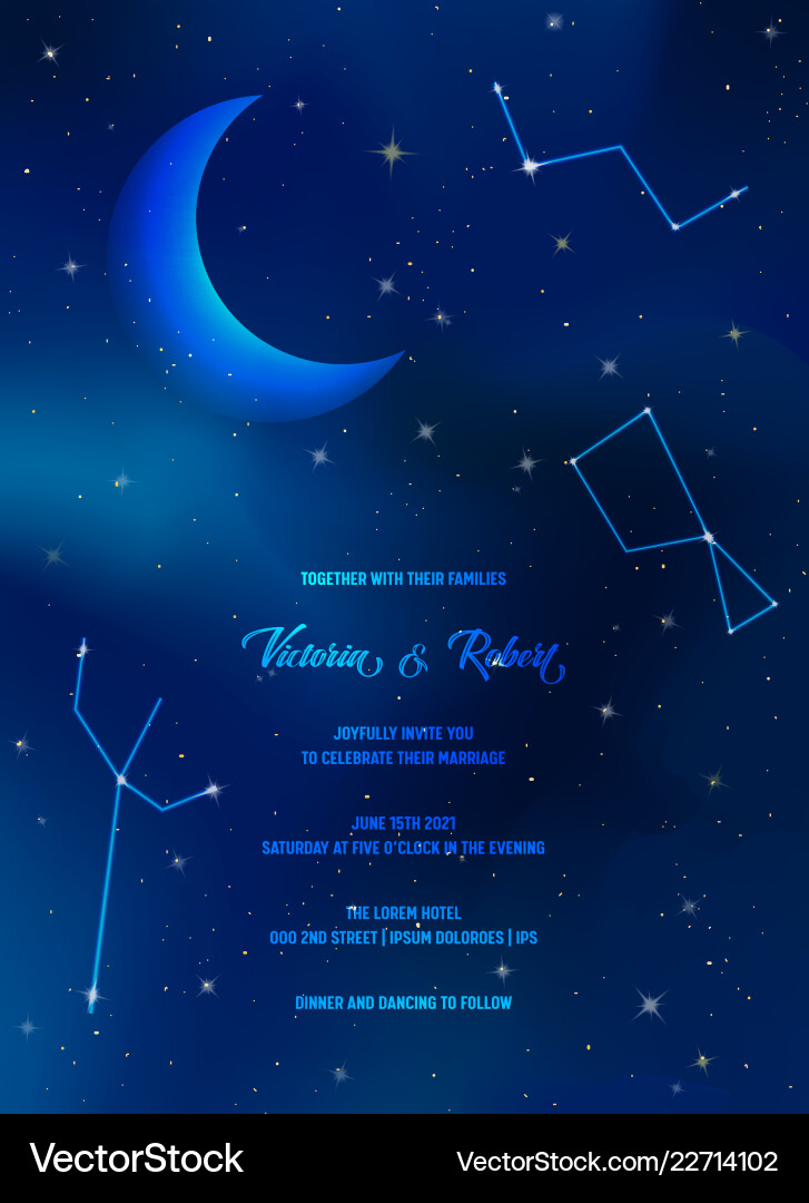 Night sky trendy wedding invitation card Vector Image