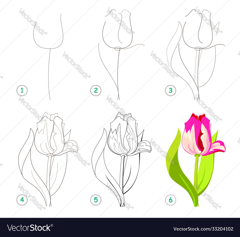 Page shows how to learn step step to draw Vector Image