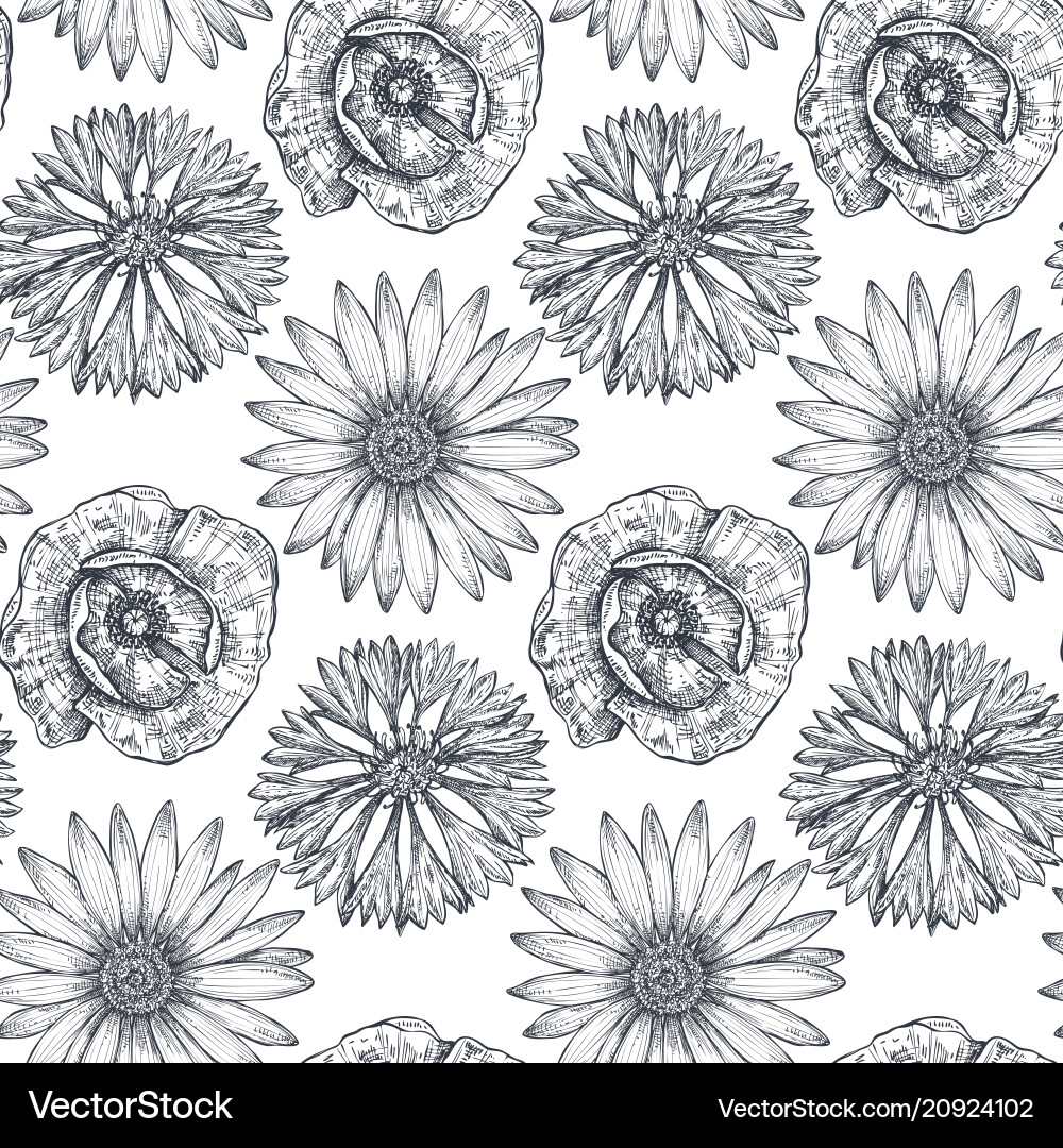 Seamless pattern with hand drawn flowers and Vector Image
