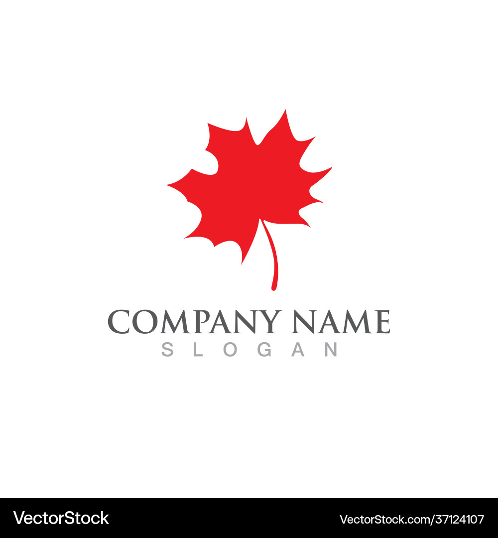 Autumn leaf logo and symbol icon Royalty Free Vector Image