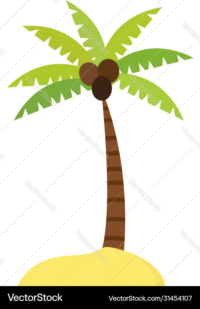 Coconut tree on white background Royalty Free Vector Image